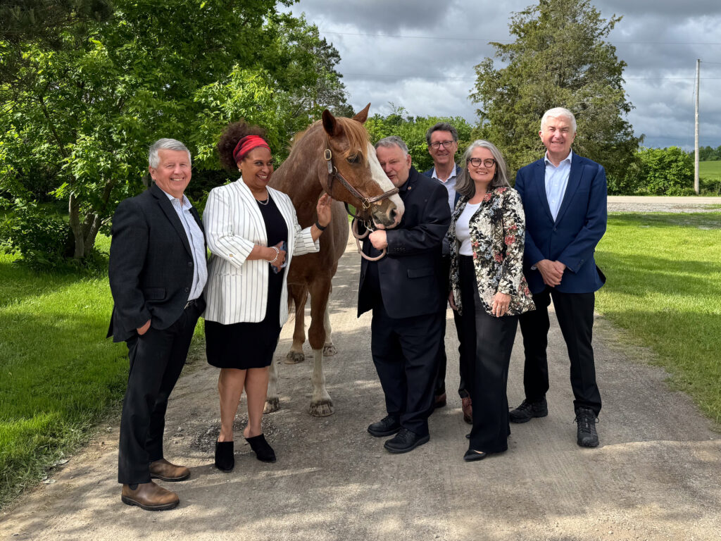 Funding Project: TEAD - Adding to the Herd